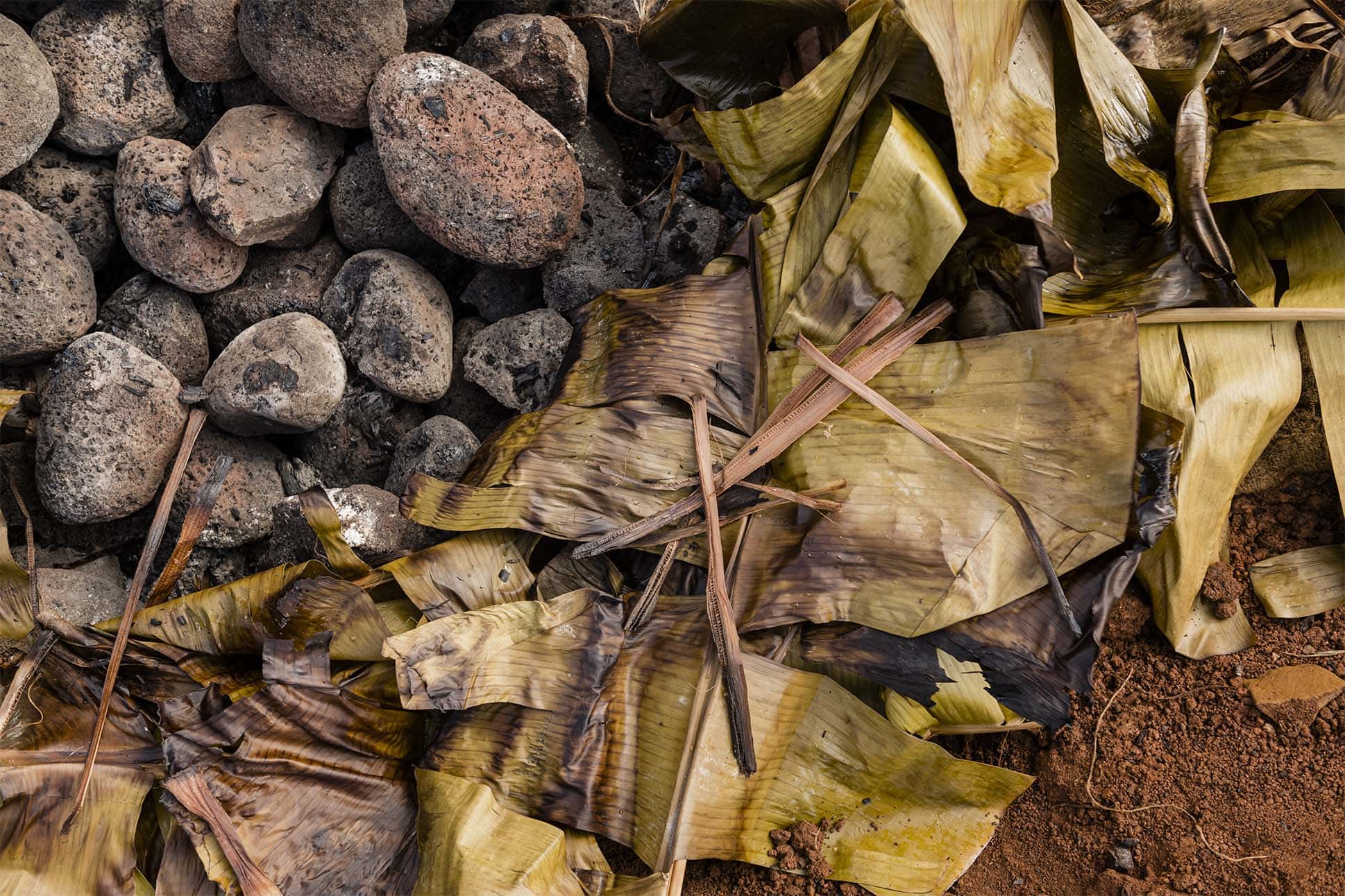 Plant Kalo, Protect Wai - Halekulani Living